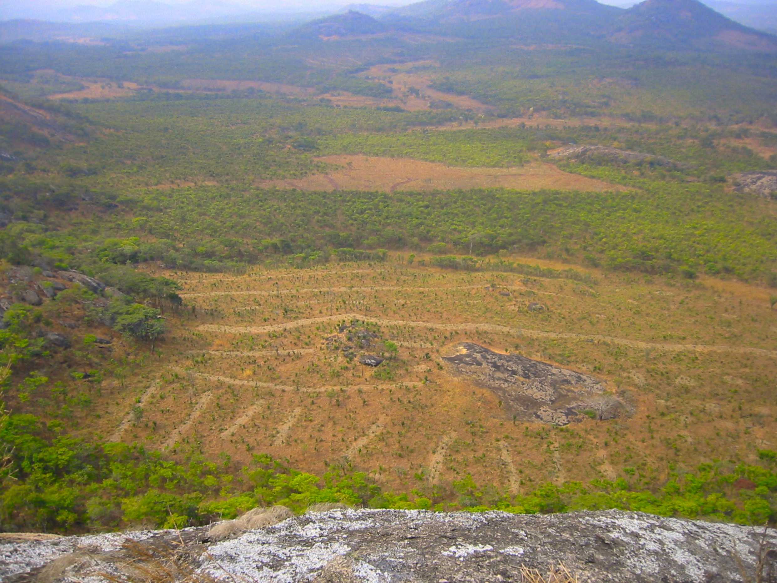 Evaluation of music in Zambia: Chibale